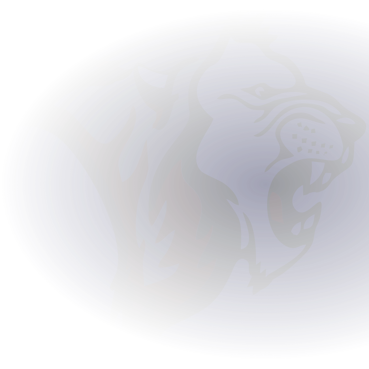 Official AFL Website Of The Collingwood Football Club Official AFL Website Of The Collingwood Football Club