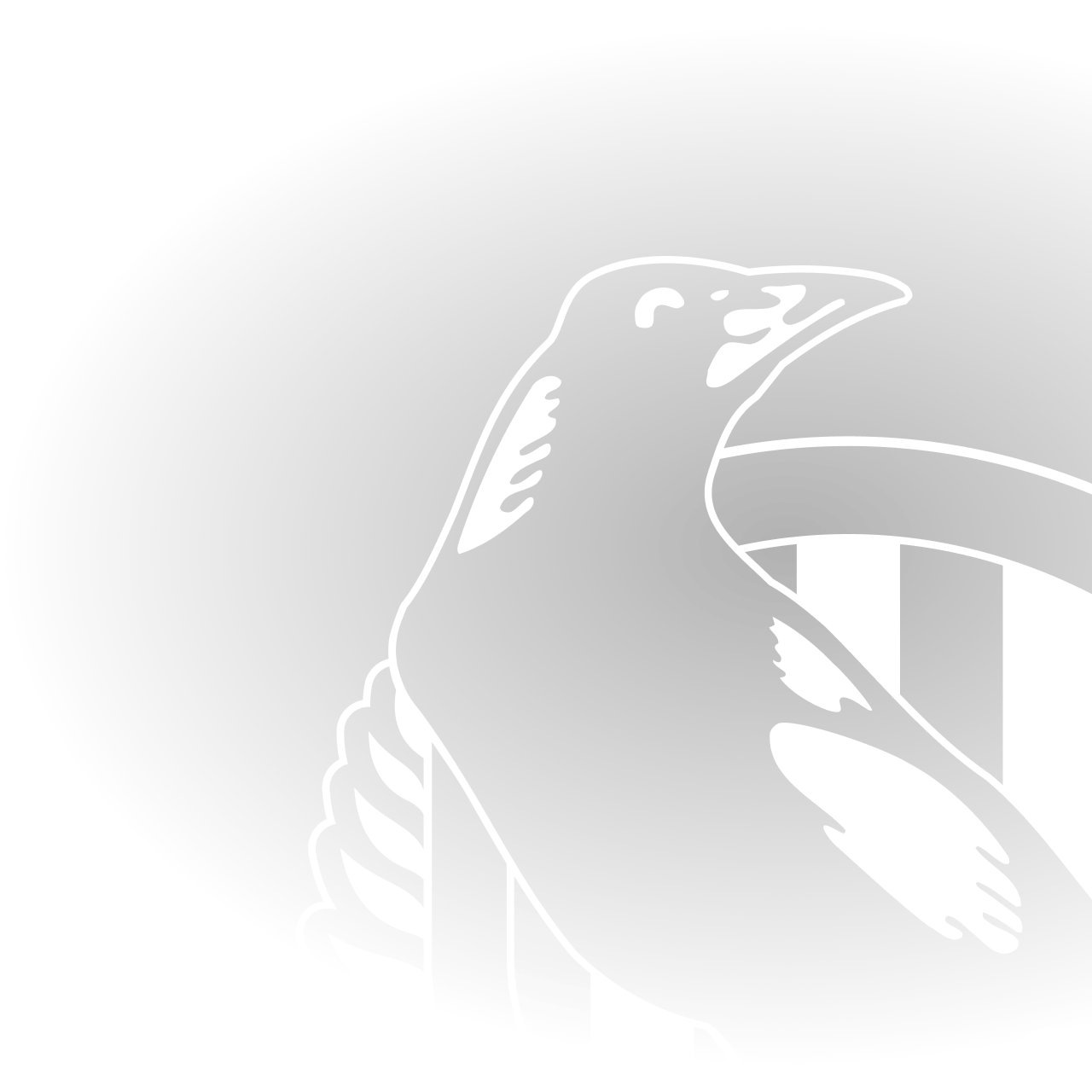Official AFL Website of the Collingwood Football Club