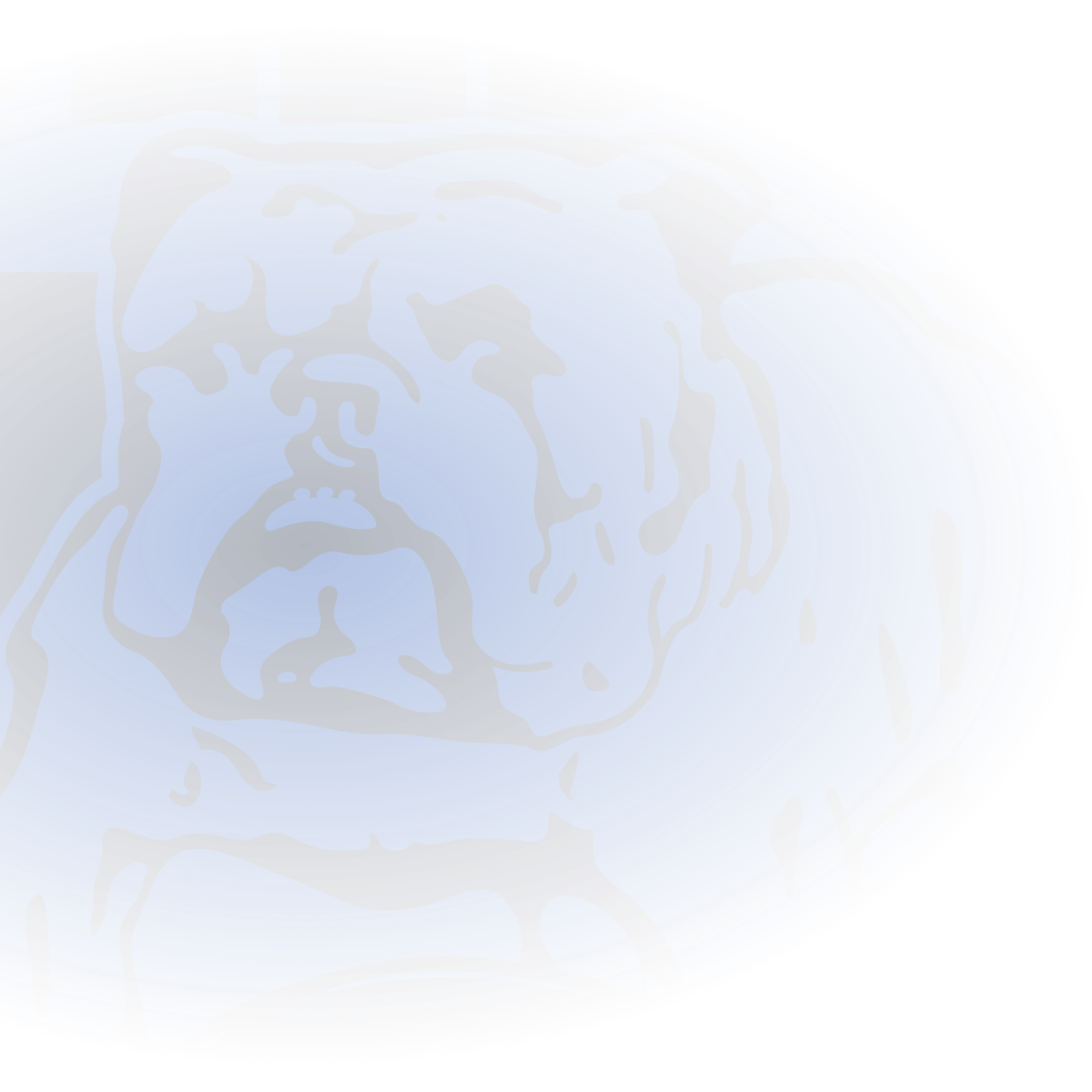 Official AFL Website of the Collingwood Football Club