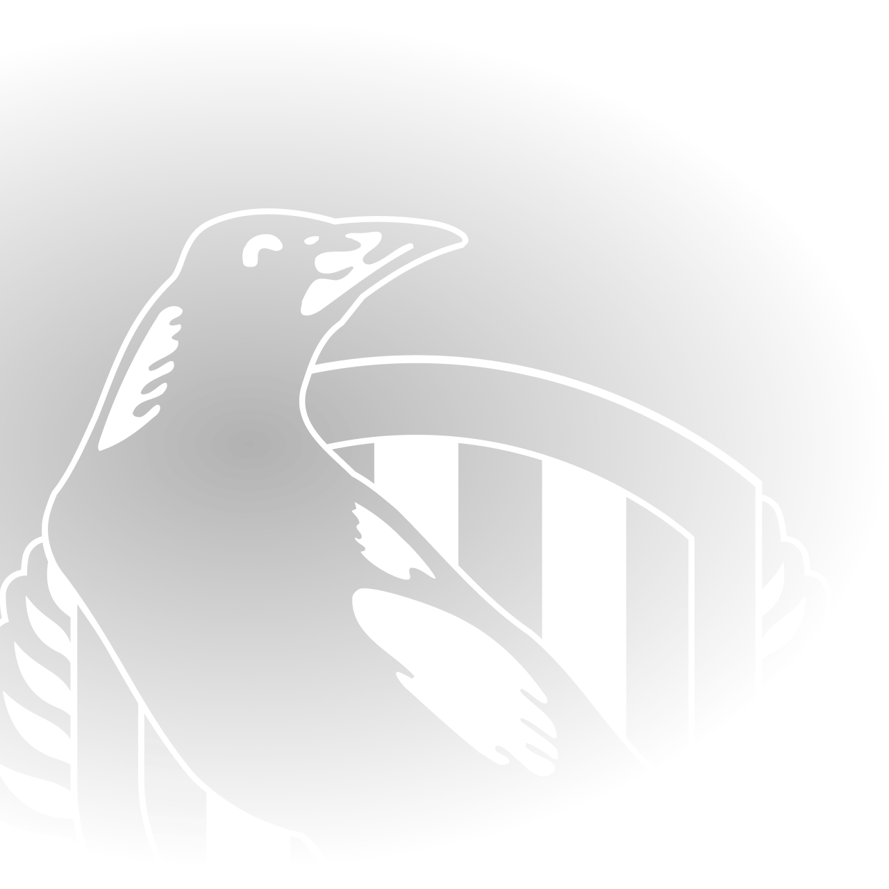 Official AFL Website of the Collingwood Football Club
