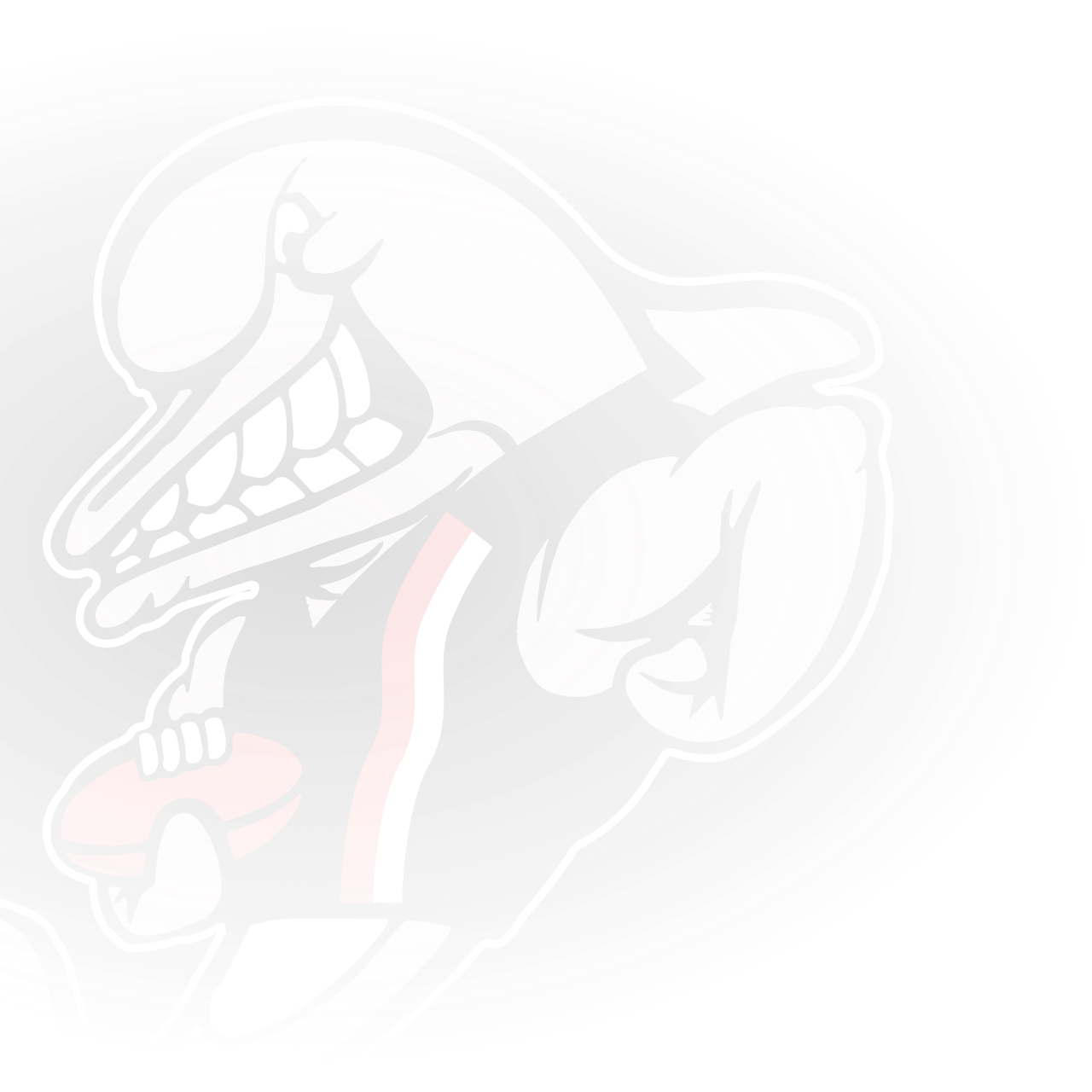Official AFL Website of the Collingwood Football Club
